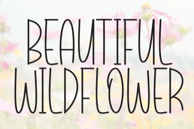 Beautiful Wildflower Display Font - Download Free Font