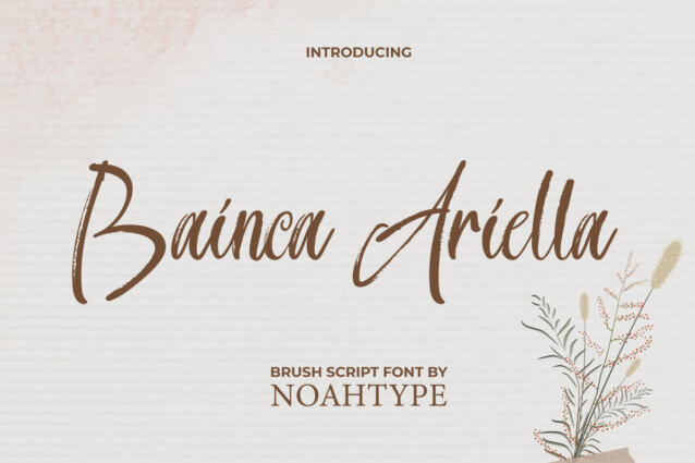 Bainca Ariella Font - Download Free Font