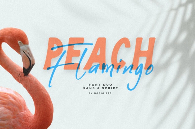 Peach Flamingo Font Duo - Befonts