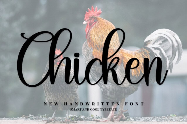 Chicken Script Font - Download Free Font