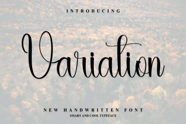 Variation Script Font - Download Free Font