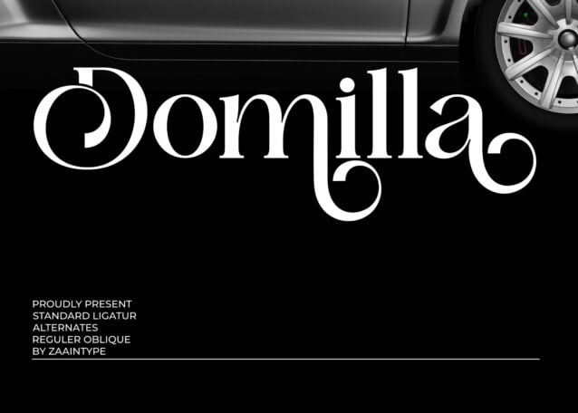 Domilla Font - Befonts