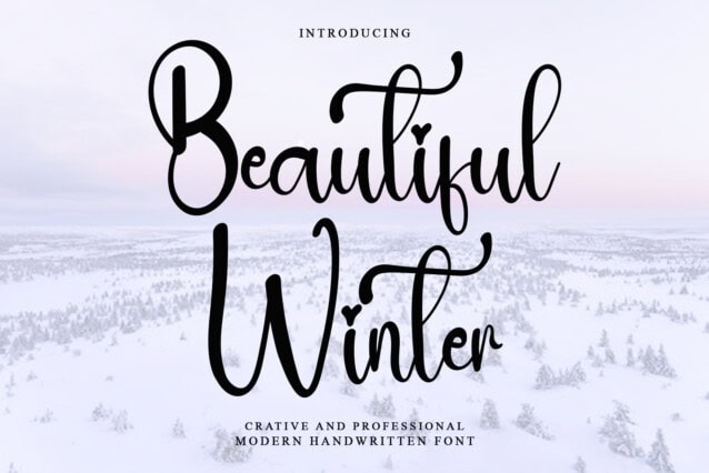 Beautiful Winter Script Font - Download Free Font