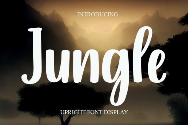 Jungle Brush Font - Download Free Font