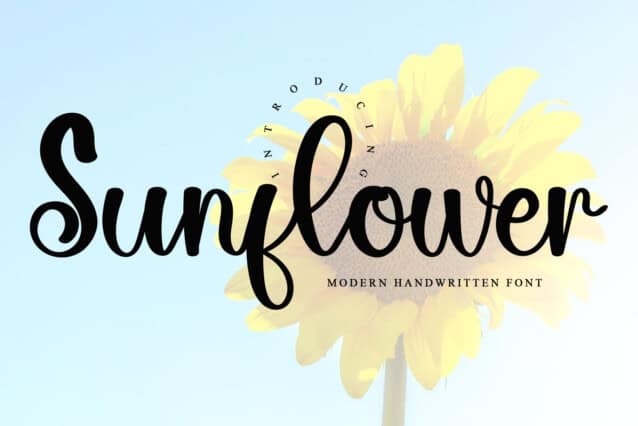 Sunflower Script Font - Download Free Font