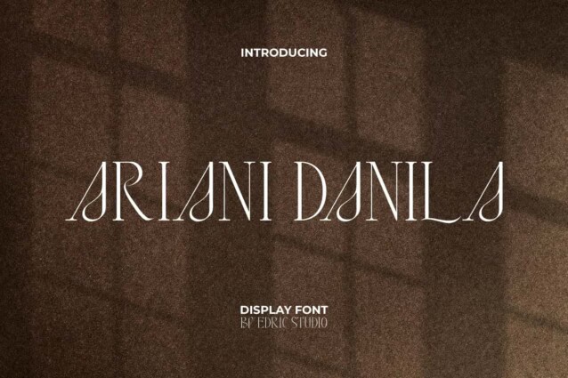 Ariani Danila Font - Befonts