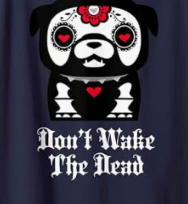 Portcullion Bold Font → Don’t wake - Download free fonts