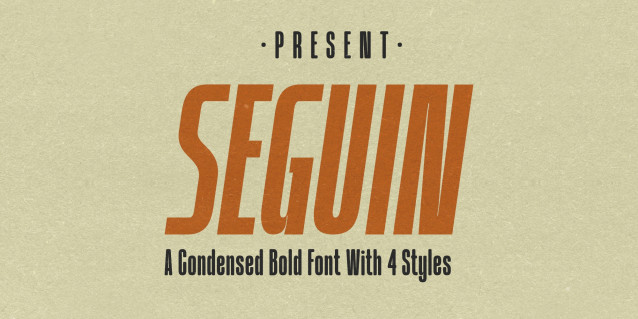 Seguin Pro Font - Download Free Font