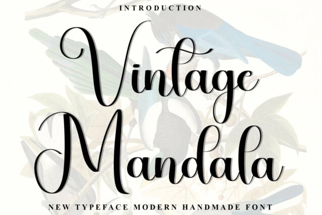 Vintage Mandala Script Font - Download Free Font