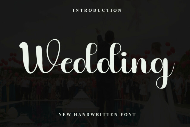 Wedding Script Typeface - Befonts