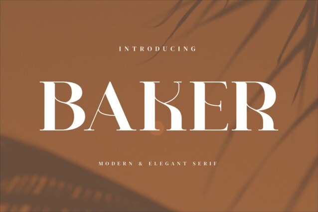 Baker Font - Download Free Font