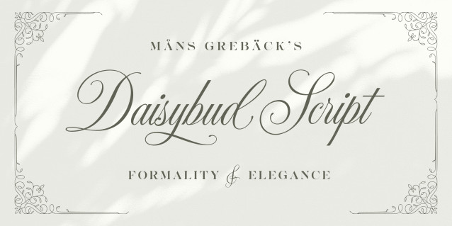 Daisybud Script Font - Download Free Font