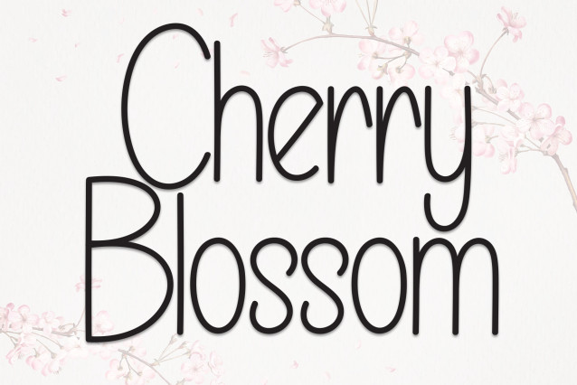 Cherry Blossom Script Font - Download Free Font