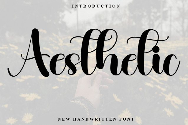 Aesthetic Script Font - Download Free Font