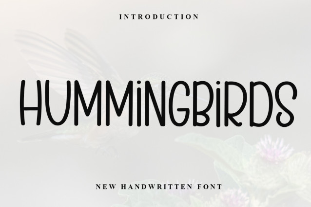 Hummingbirds Display Font - Download Free Font