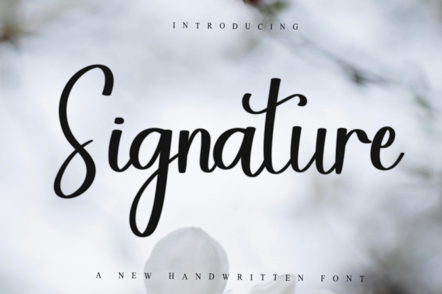 Signature Script Font - Befonts