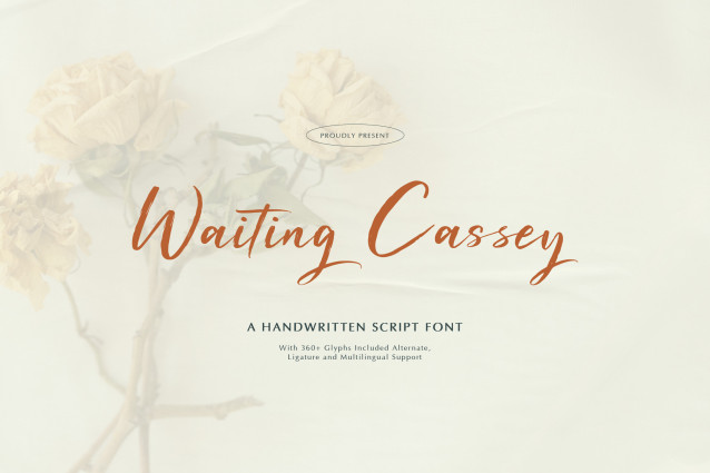 Waiting Cassey | Handwritten Script Font - Download Free Font