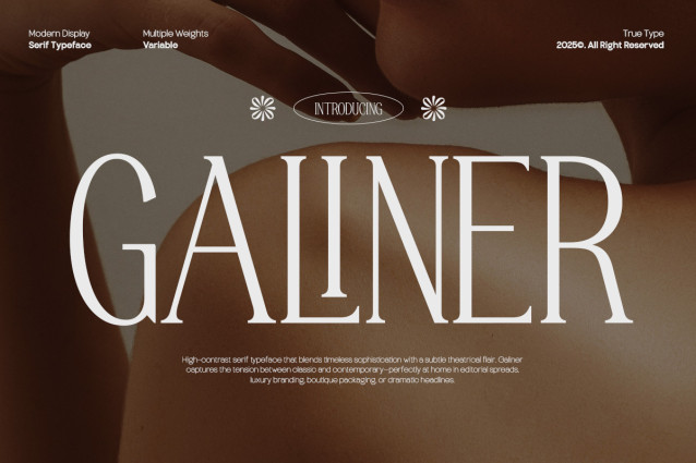 TT Galiner – Timeless Elegance Serif - Befonts