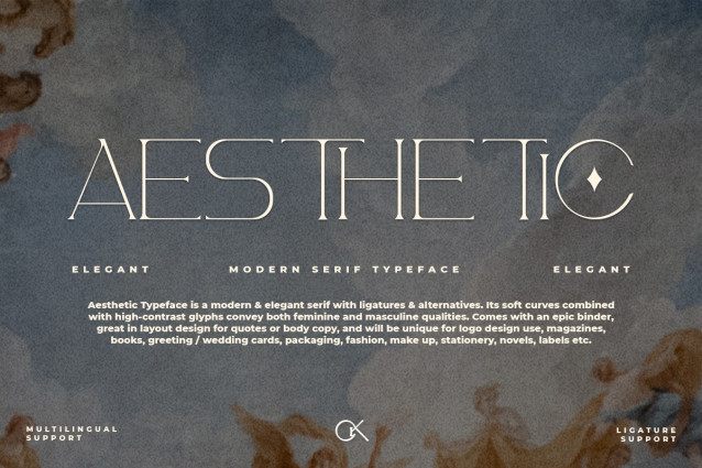 Aesthetic Modern Serif Font - Befonts