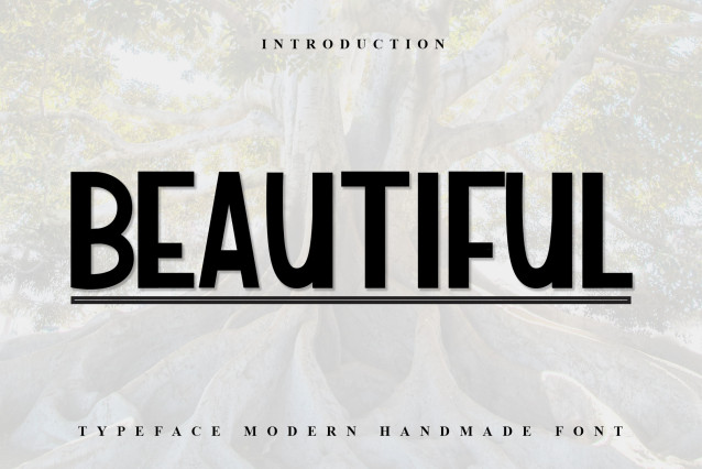 Beautiful Modern Script Font - Befonts