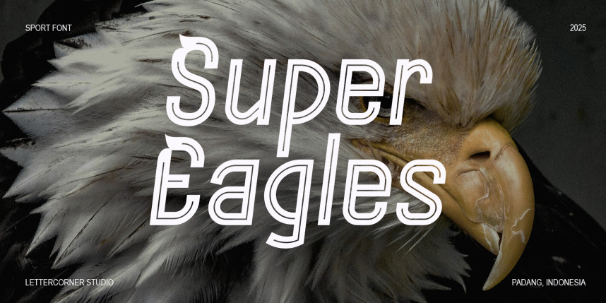 Super Eagles Font - Download Free Font