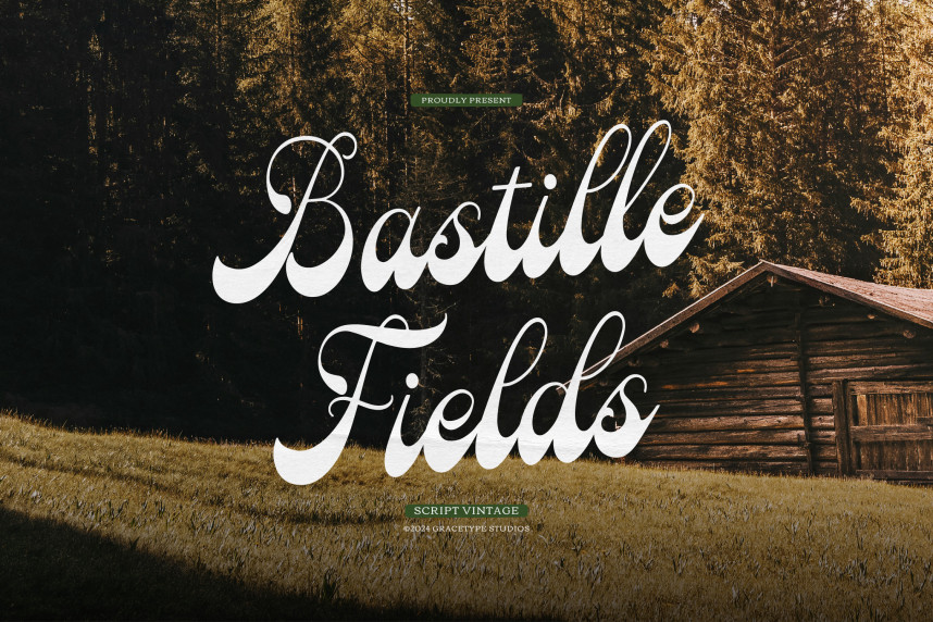 Bastille Fields Vintage Script - Download Free Font