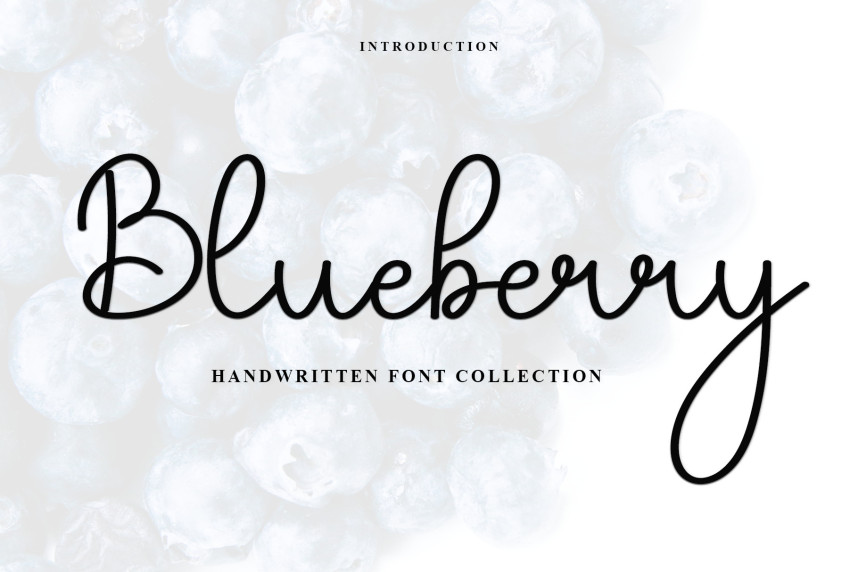 Blueberry Script Handwritten Font - Download Free Font