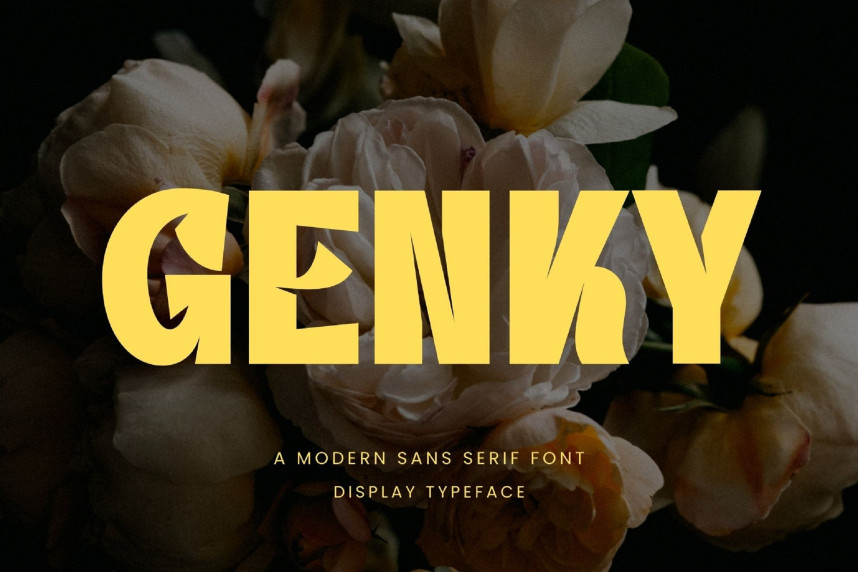 Genky Sans Serif Font - Download Free Font