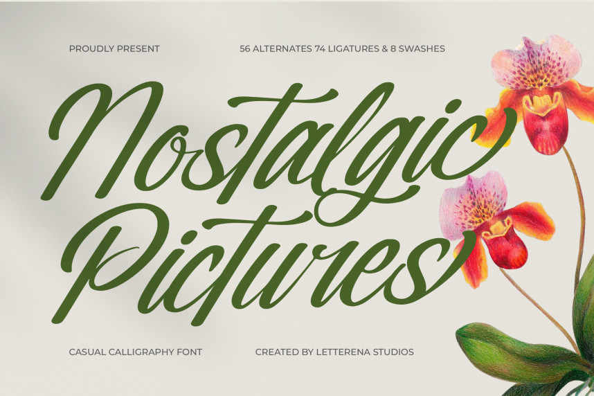 Nostalgic Pictures Font - Befonts