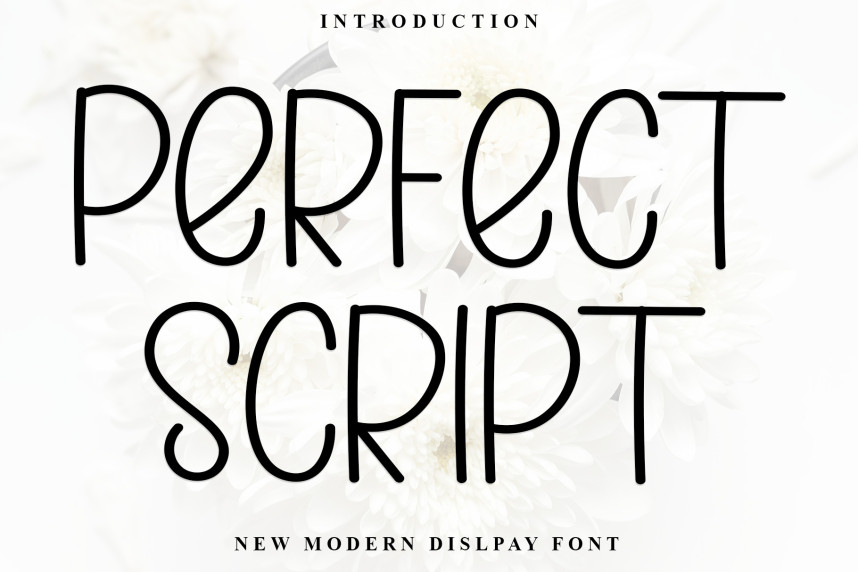 Perfect Script Handwritten Font - Befonts