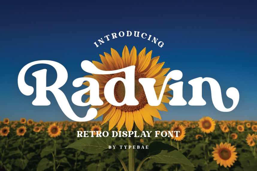 Radvin – Retro Display Font - Download Free Font