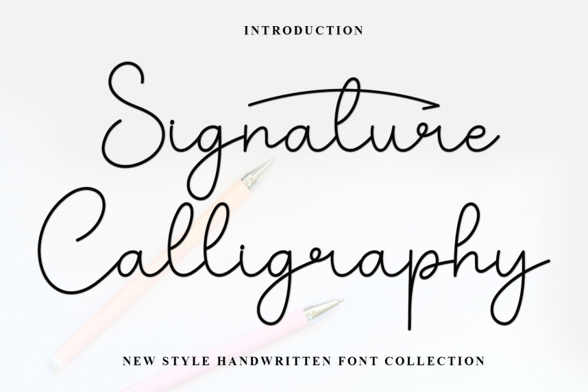 Signature Calligraphy Script Font - Befonts