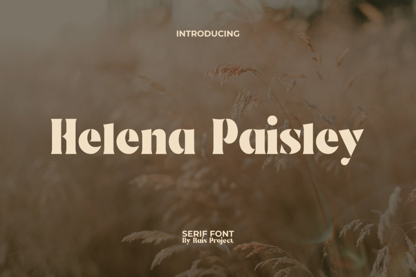 Helena Paisley Font - Download Free Font