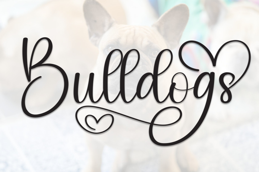 Bulldogs Style Script Font - Download Free Font