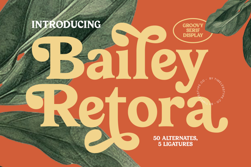 Bailey Retora Serif Font - Download Free Font