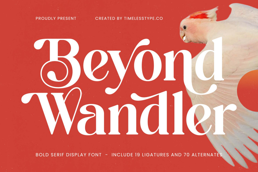 Beyond Wandler Typeface - Download Free Font