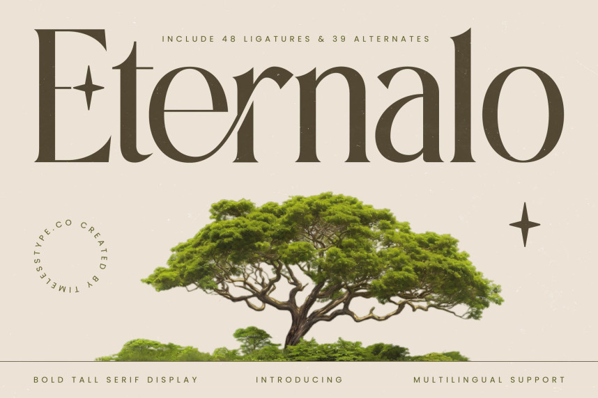 Eternalo - Bold Tall Serif Display Font - Download Free Font