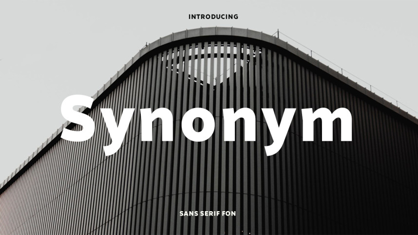 Synonym Font Family - Download Free Font