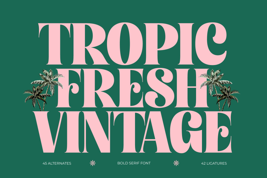 Tropic Fresh Vintage - Bold Serif Font - Befonts