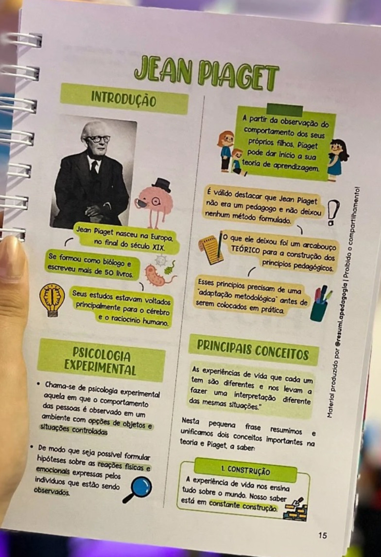 CHICKEN Pie Height Font → Jean Piaget/Introdução font - Download free fonts