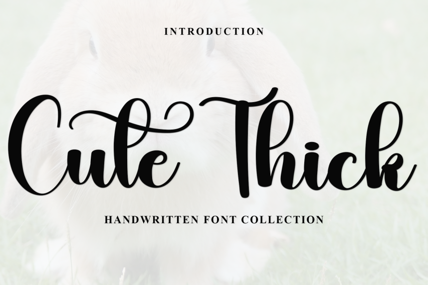 Cute Thick Style Script Font - Befonts