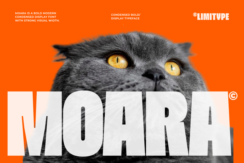 Moara Font - Befonts