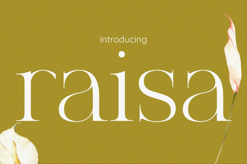 Raisa Font - Befonts