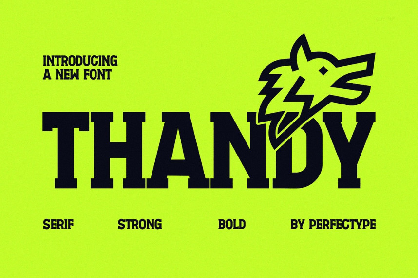 Thandy Font - Befonts