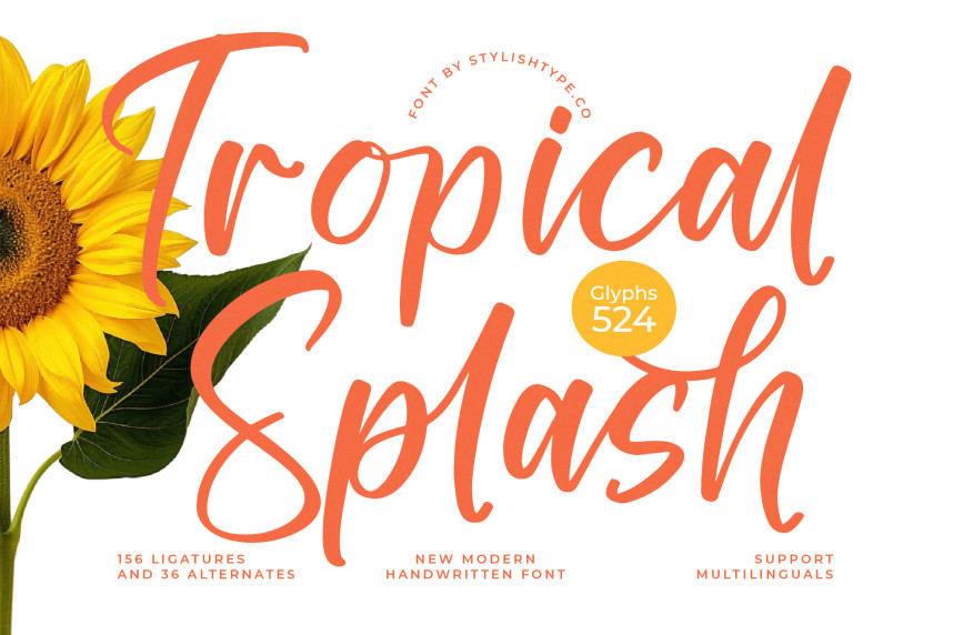 Tropical Splash - Modern Handwritten Font - Download Free Font
