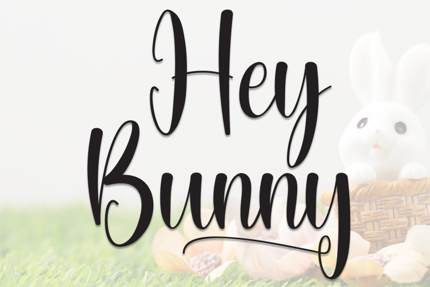 Hey Bunny Style Script Font - Download Free Font
