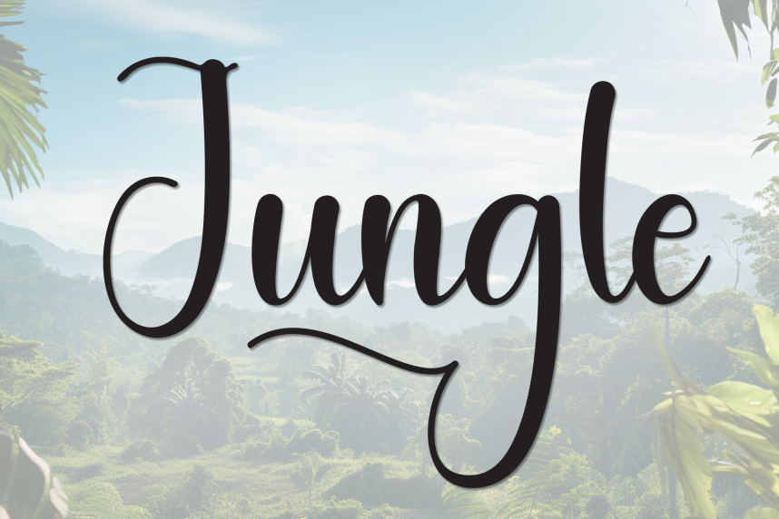 Jungle - Elegant Script Handwritten Font - Befonts