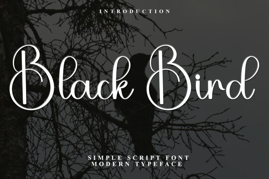 Black Bird Simple Script Font - Befonts