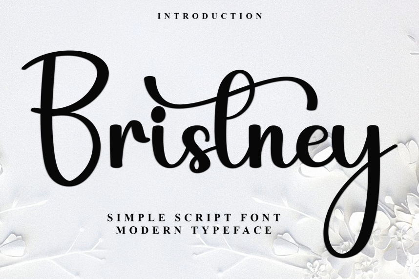 Bristney - Handwritten Script Font - Download Free Font