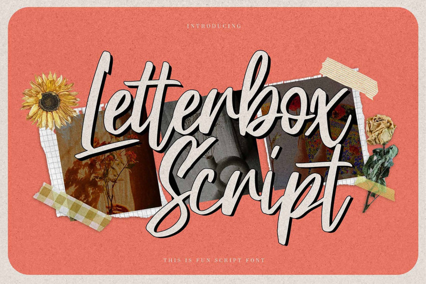 Letterbox Script Font - Befonts